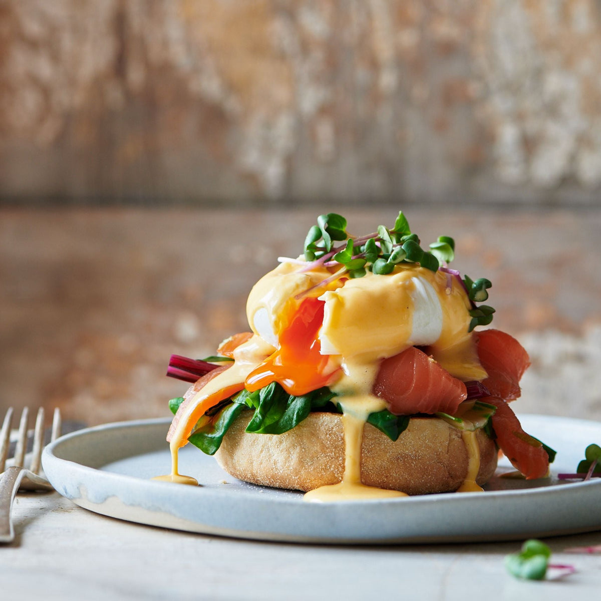 Booze Infused Smoked Salmon, Smoked Fish: The Pished Fish